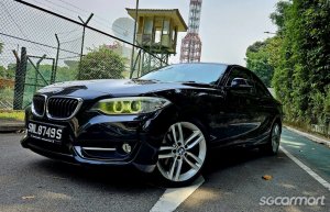 Used 2014 BMW 2 Series 220i Coupe Sunroof for Sale | Sanctuary Motor ...