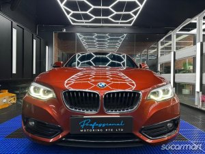 Used 2019 BMW 2 Series 218i Convertible for Sale | Professional ...
