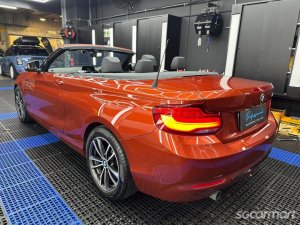 Used 2019 BMW 2 Series 218i Convertible for Sale | Professional ...