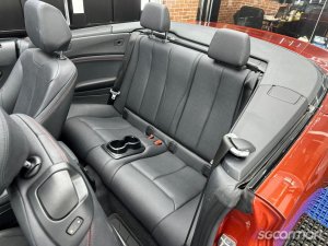 Used 2019 BMW 2 Series 218i Convertible for Sale | Professional ...