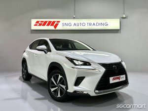 Used 2018 Lexus NX Turbo NX300 Luxury Moonroof for Sale | Sng Auto Pte ...