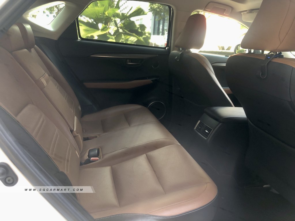 Lexus NX Turbo NX300 Luxury Moonroof