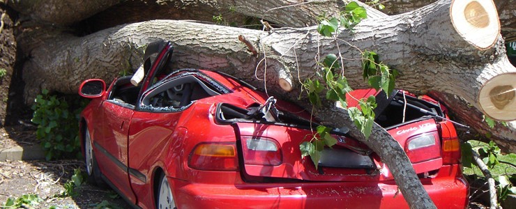 Nature shows its might as fallen trees crush two cars - traps two people