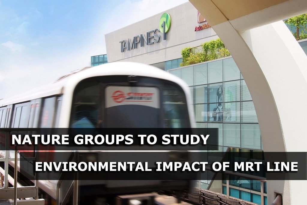 LTA holds environment study until nature groups finish primary ...