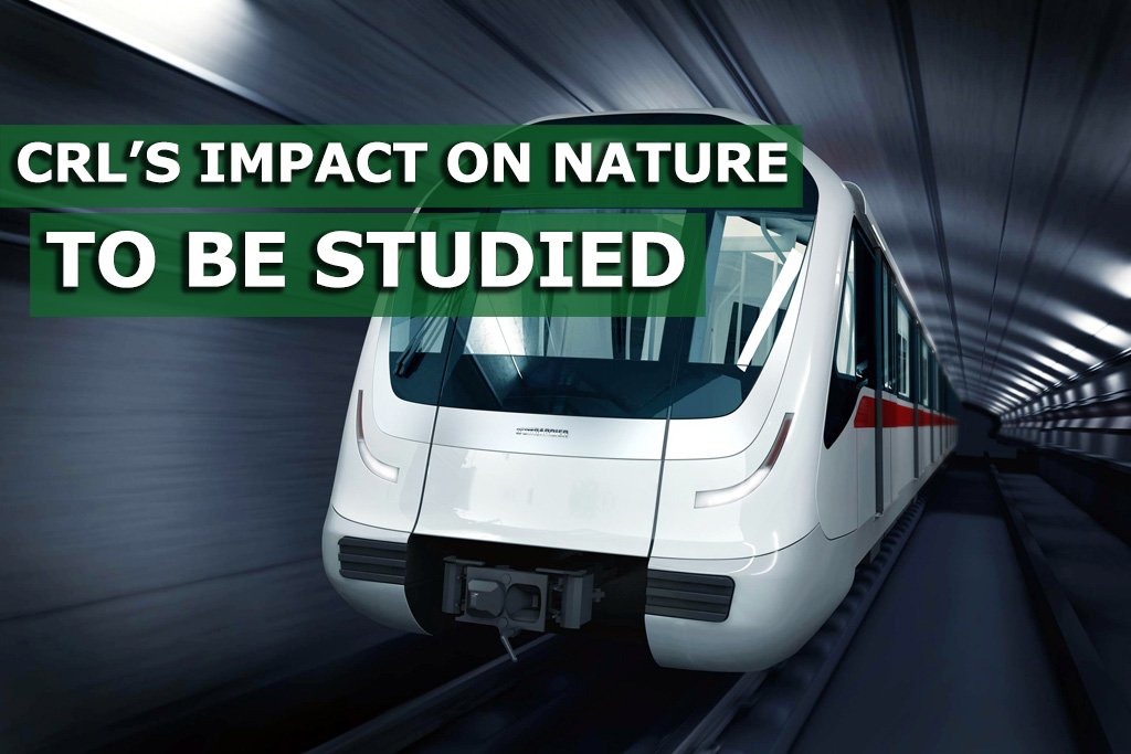 LTA to study impact on nature due to construction of Cross Island Line ...