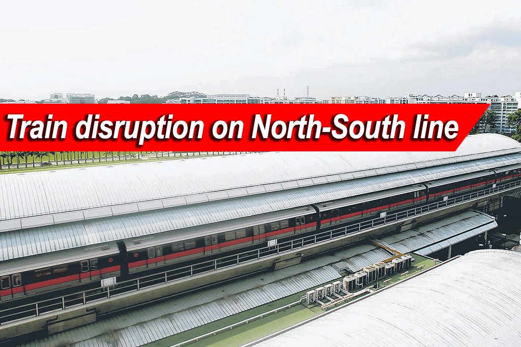 Cable fault causes disruption on North-South line
