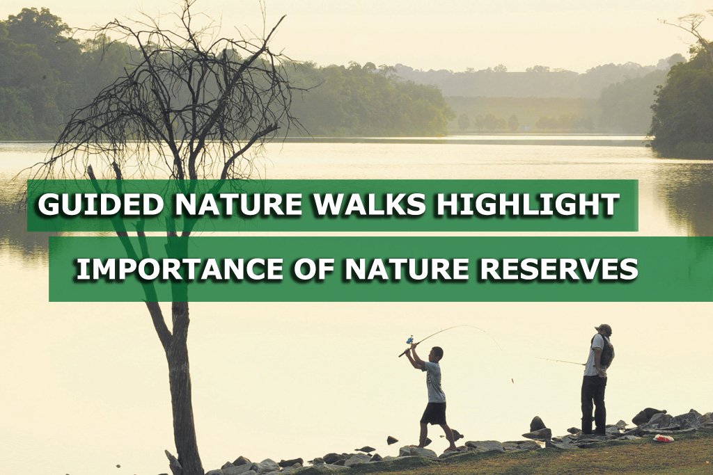 Guided walks raise profile of nature reserves ahead of MRT construction