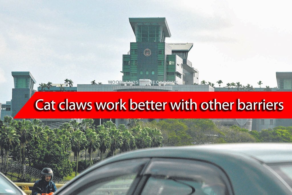 Security experts believe cat claws should be used with other barriers ...