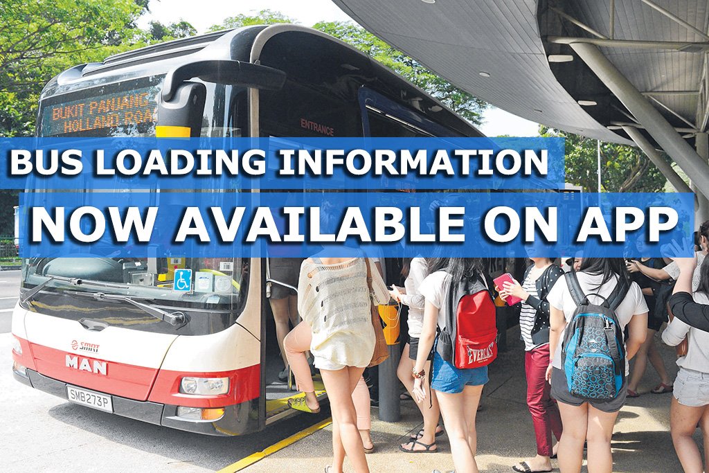 LTA launches new app function to tell commuters if bus is packed ...