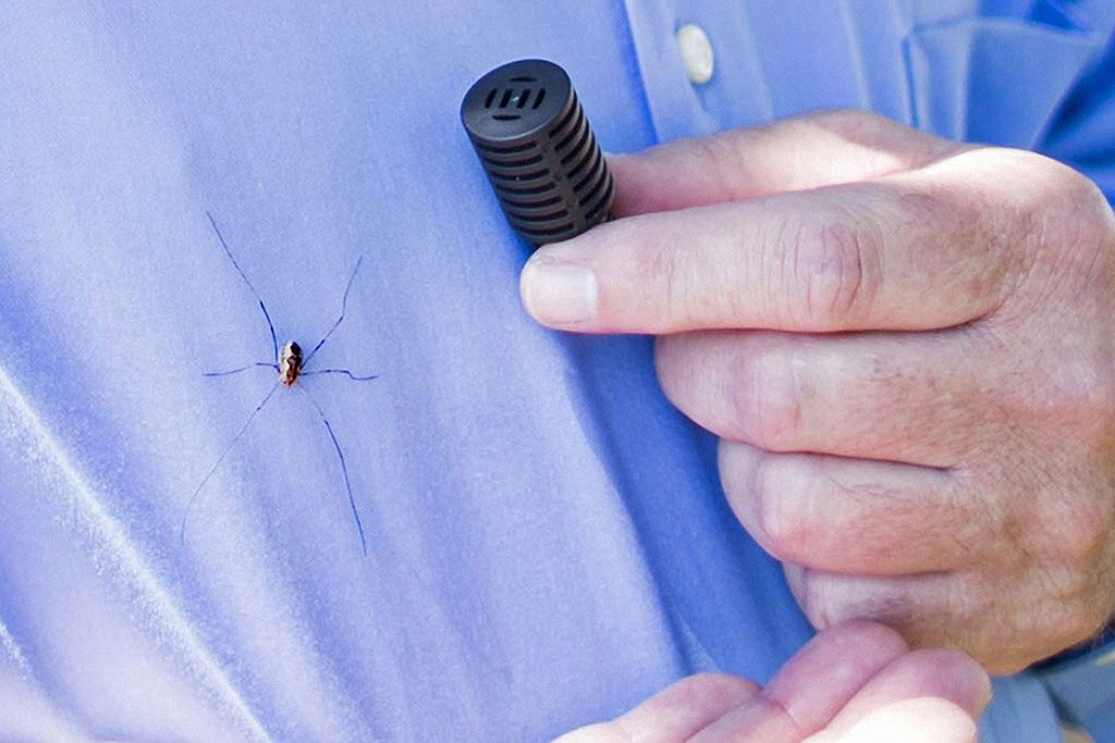 Ford developes an innovative spider screen to keep creepy crawlies out ...