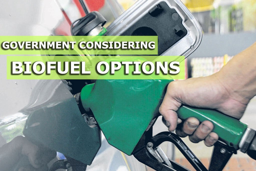 Authorities considering use of plant-based fuels - Sgcarmart