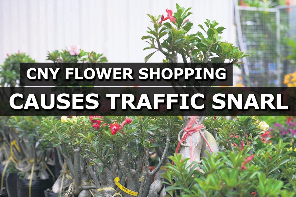 CNY flower shopping causes snarl at Thompson Road - Sgcarmart