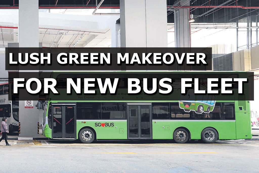 It's a Lush Green makeover for new bus fleet - Sgcarmart