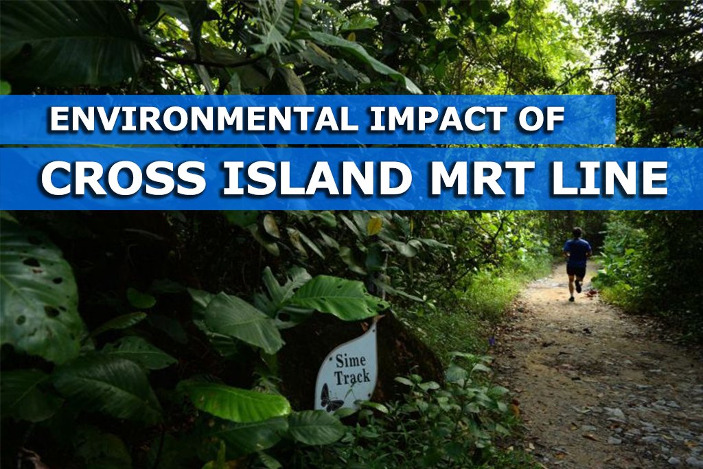 LTA will release findings on how Cross Island MRT affects wildlife ...