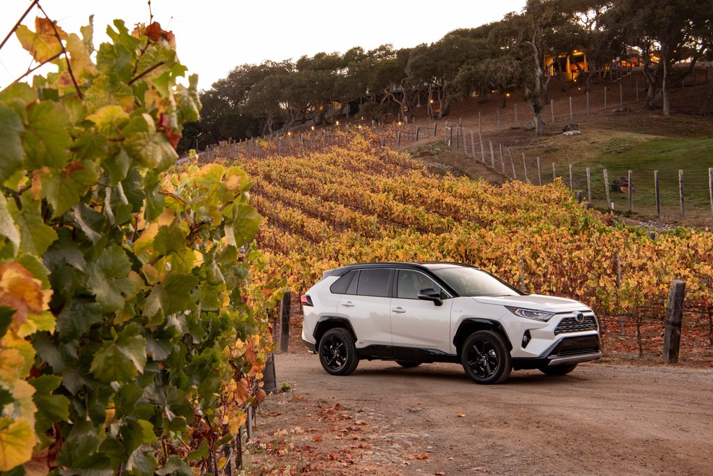 Toyota reveals the all new RAV4 - Sgcarmart