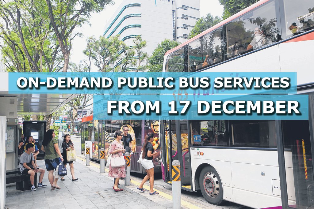 On-demand public bus services from 17 December as part of six-month trial