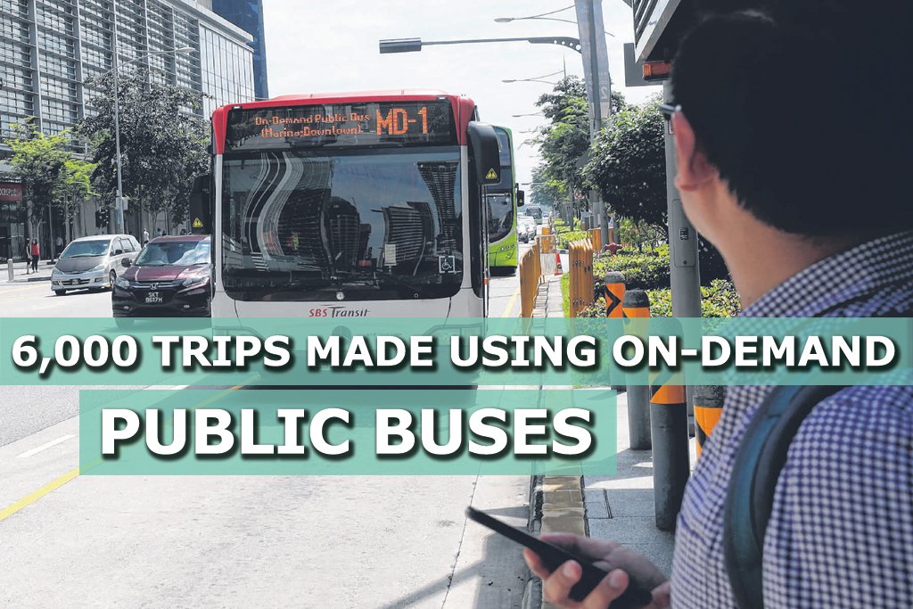 6,000 trips using on-demand public buses made in first two months of trial