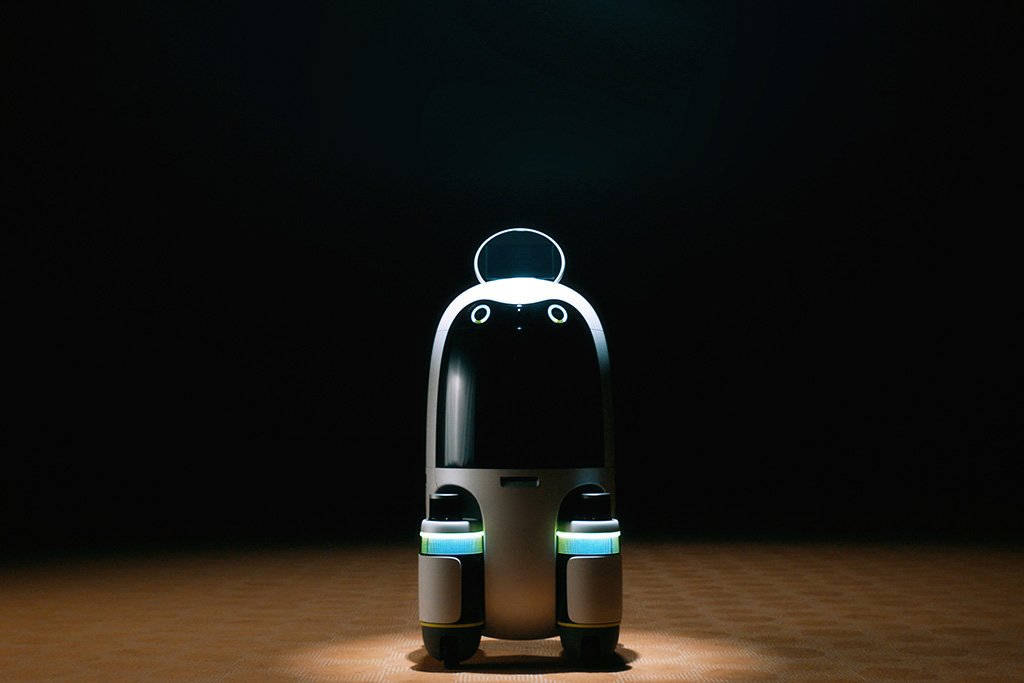 Hyundai's robots get rolling with pilot programmes to advance last-mile ...