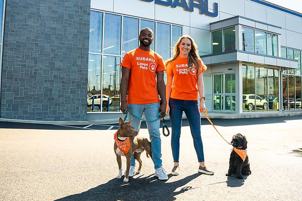 Subaru helped 47,000 shelter animals find homes in 2022